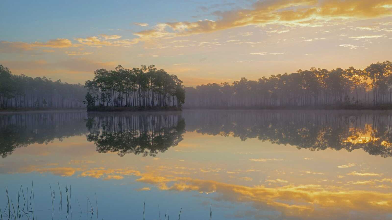 Everglades National Park Wallpapers (51 images) - WallpaperCat