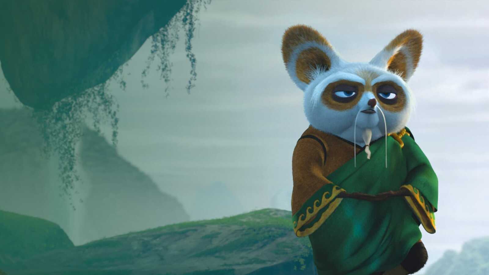 Master Shifu Wallpapers (39 images) - WallpaperCat