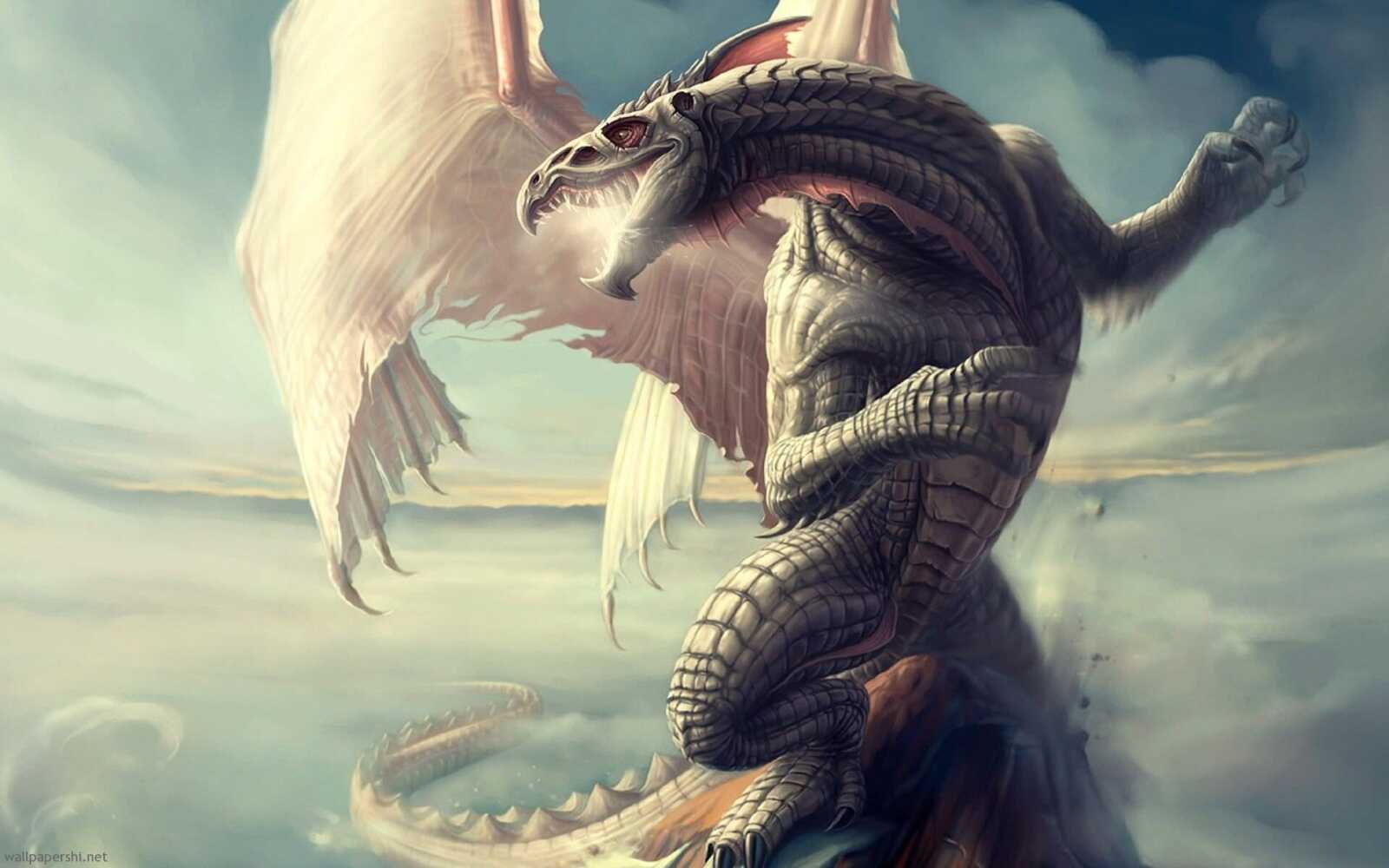 Dragon Wallpapers (84 images) - WallpaperCat