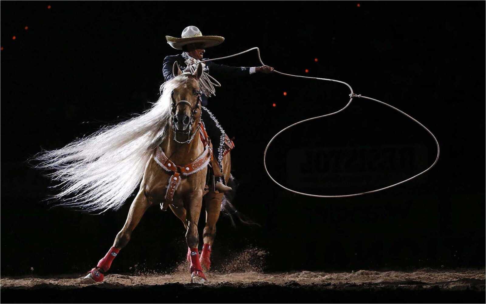 Rodeo Wallpapers (29 images) - WallpaperCat