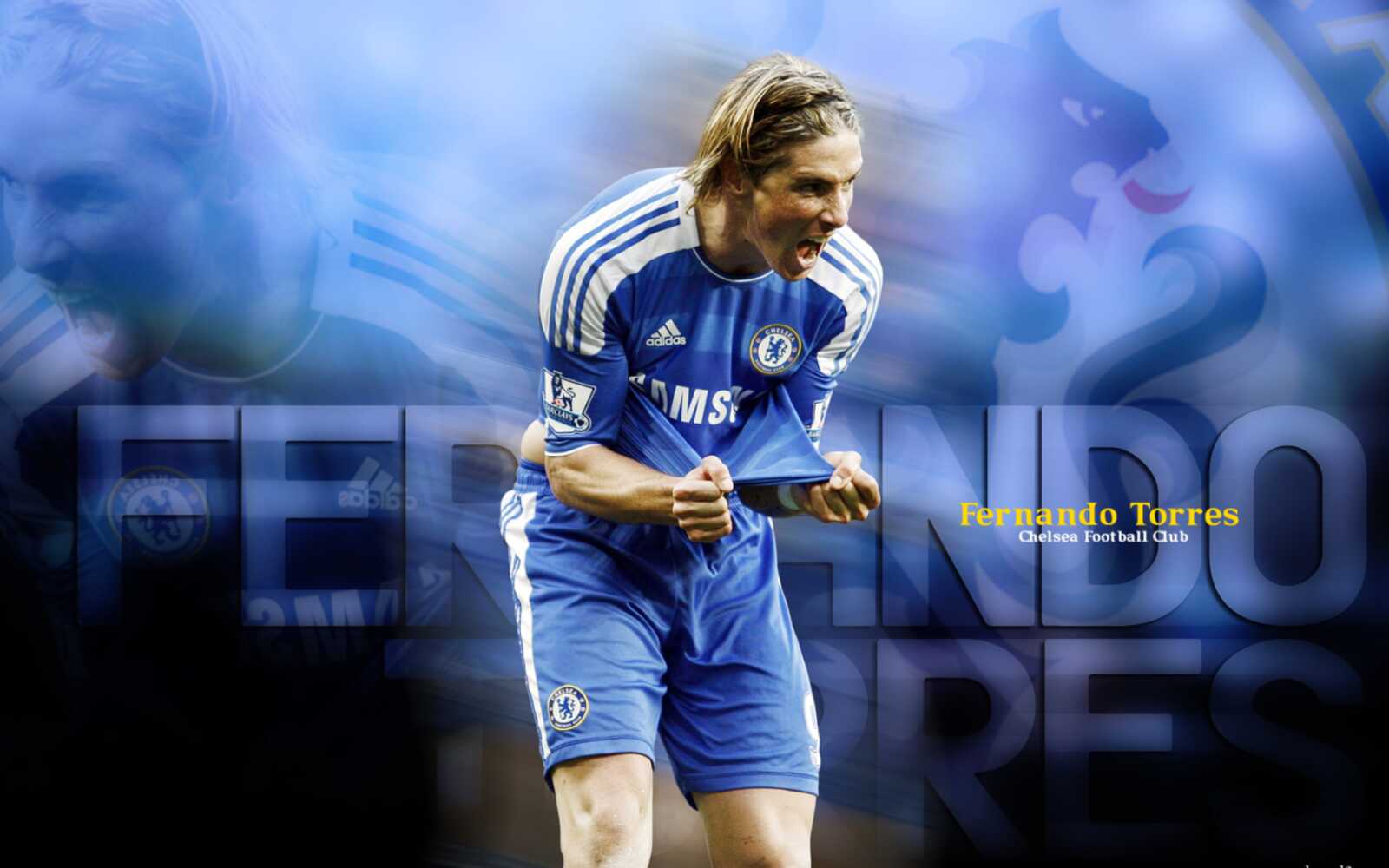 Fernando Torres Wallpapers (48 images) - WallpaperCat