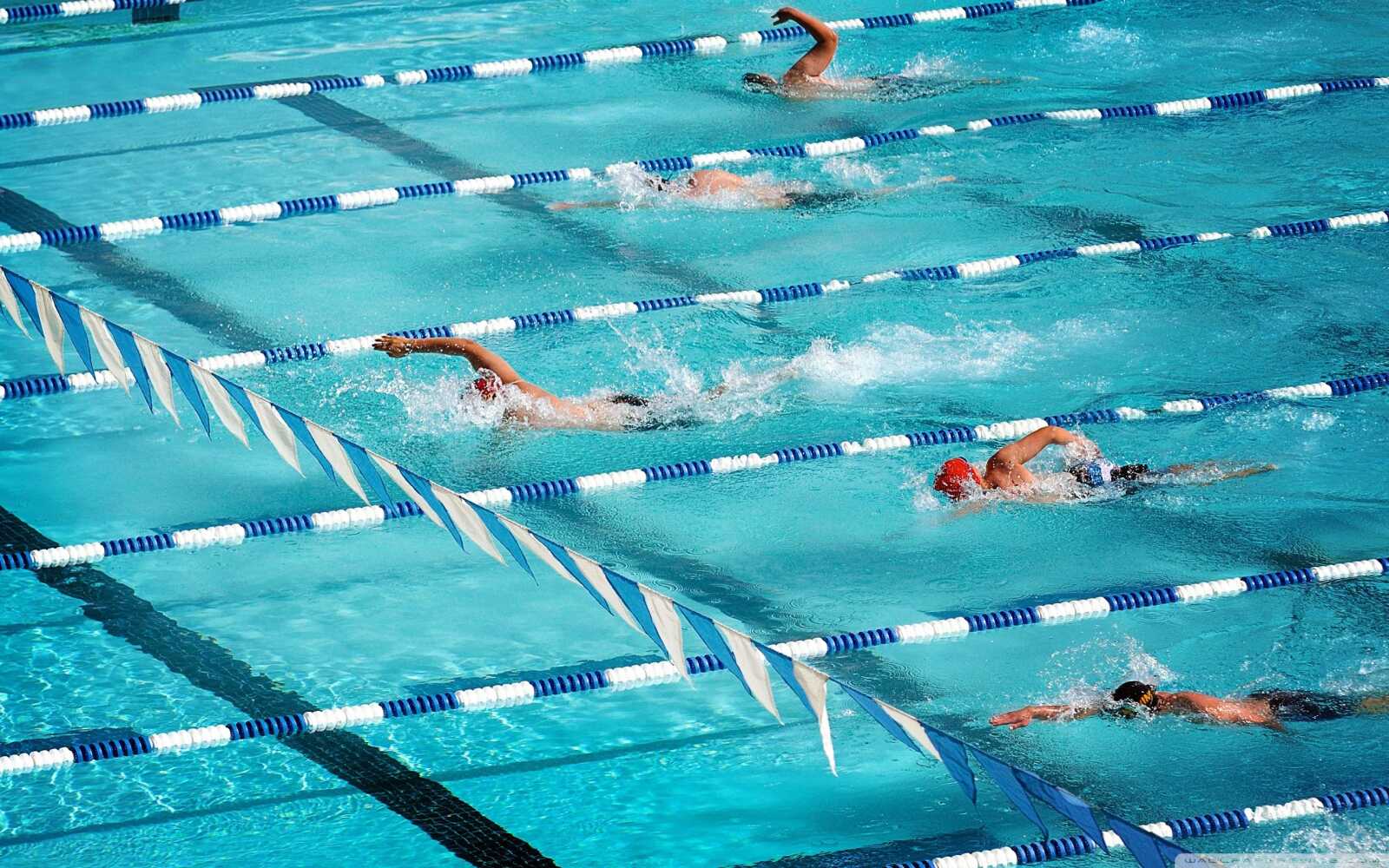 Swimming Wallpapers (43 images) - WallpaperCat