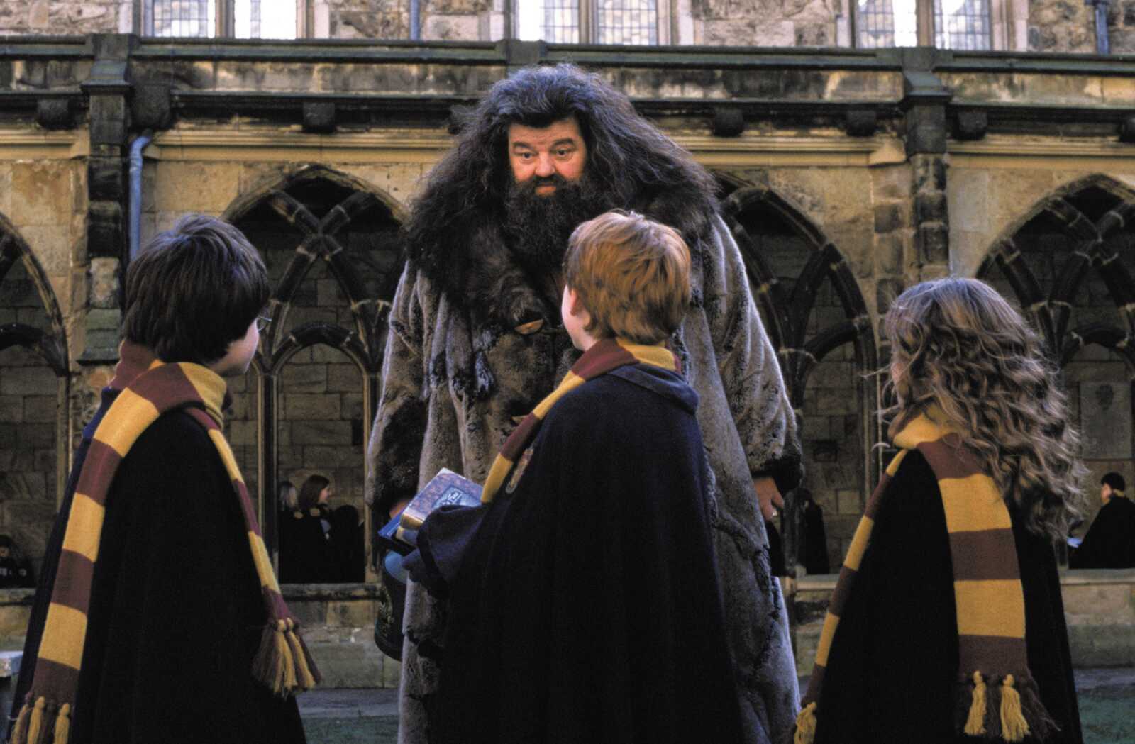 Hagrid Wallpapers (24 images) - WallpaperCat