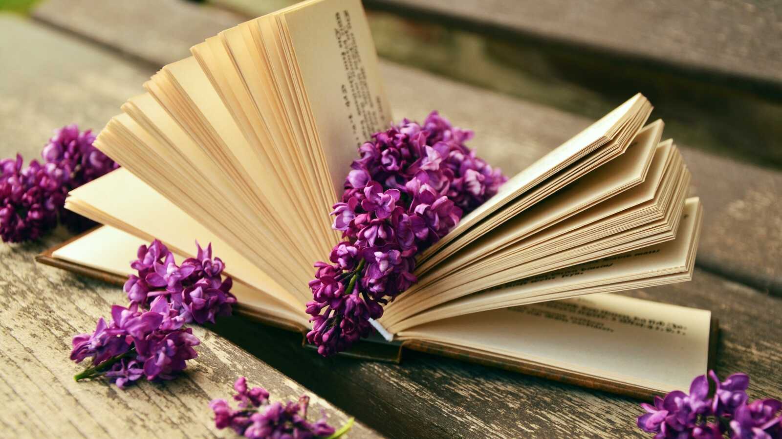 Book Wallpapers (113 images) - WallpaperCat