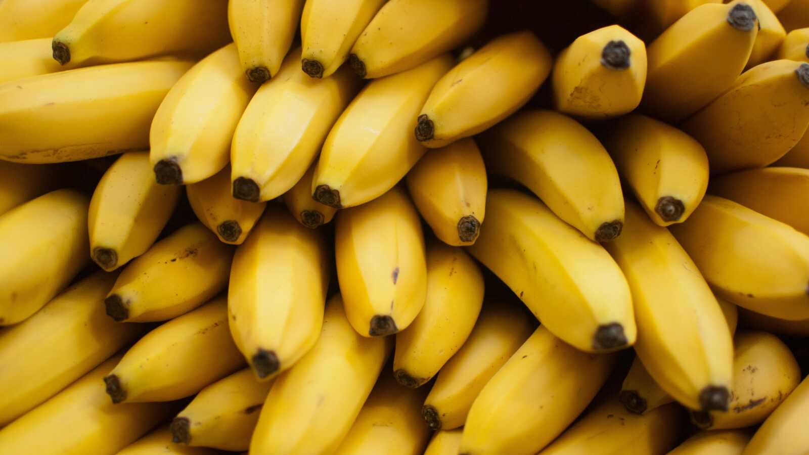 Banana Wallpapers (27 images) - WallpaperCat