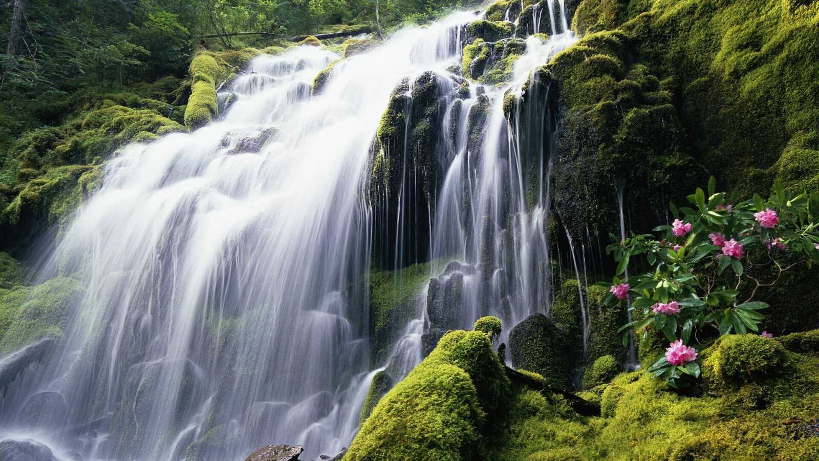 Waterfall Wallpapers (152 images) - WallpaperCat