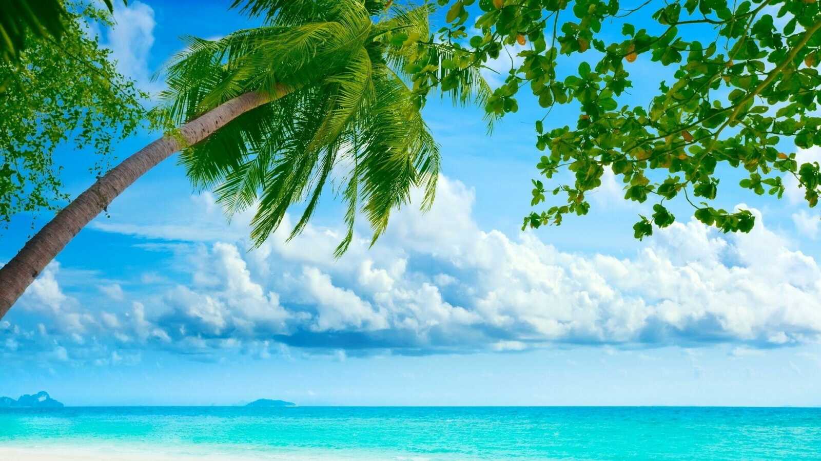 Summer Wallpapers (99 images) - WallpaperCat