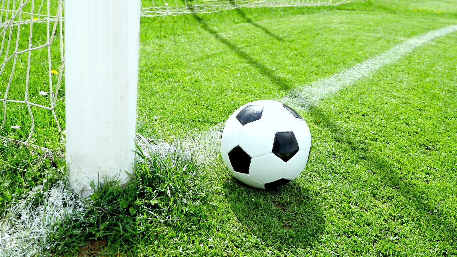 Ball Wallpapers (61 images) - WallpaperCat