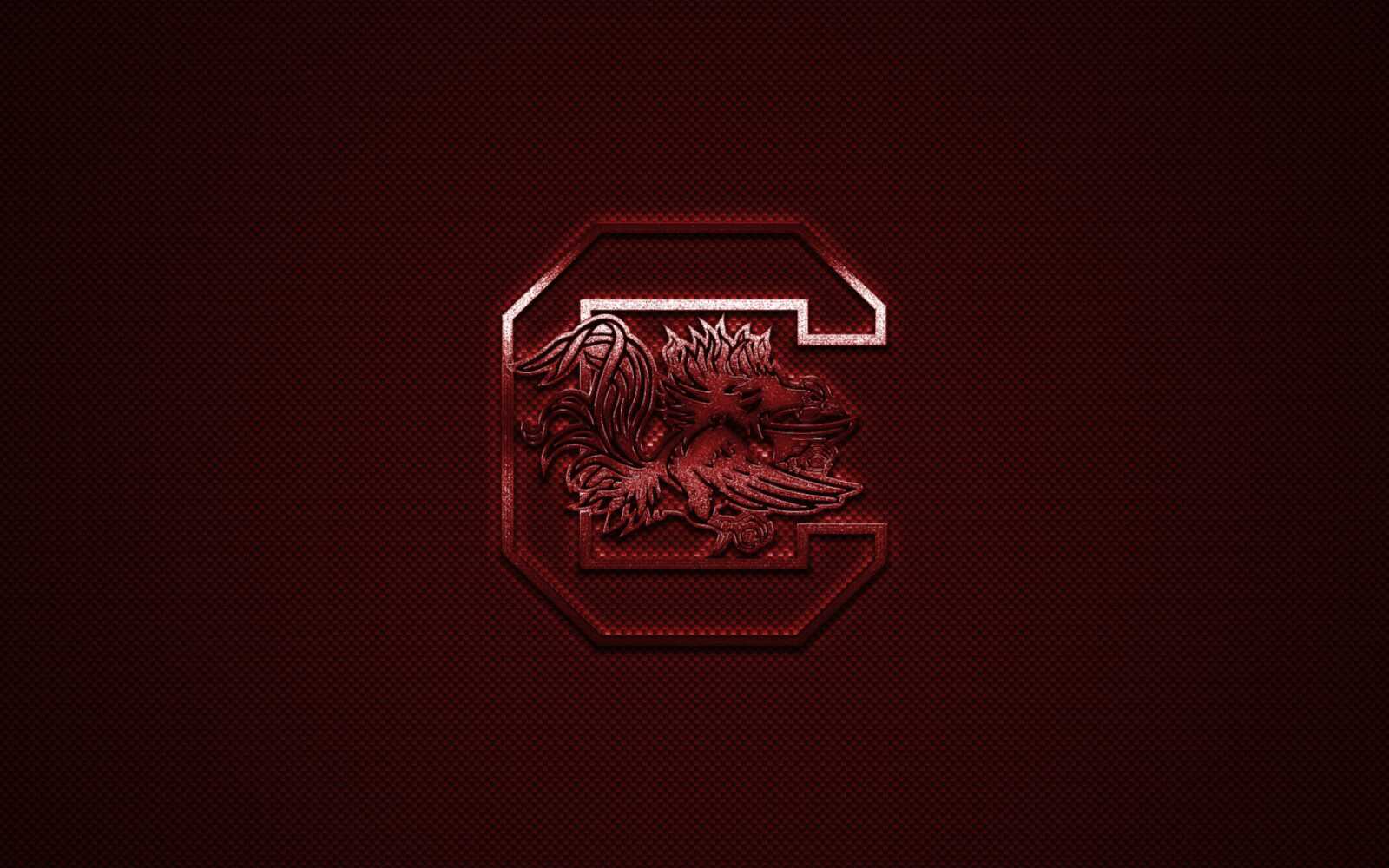 Gamecocks Wallpapers (31 images) - WallpaperCat