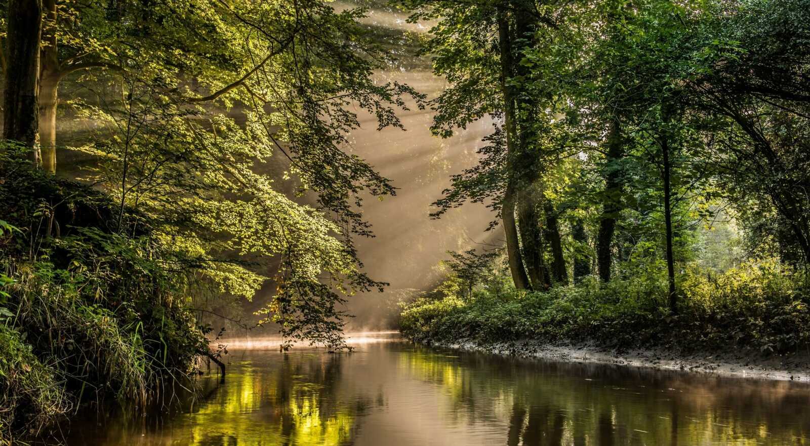 River Wallpapers (37 images) - WallpaperCat