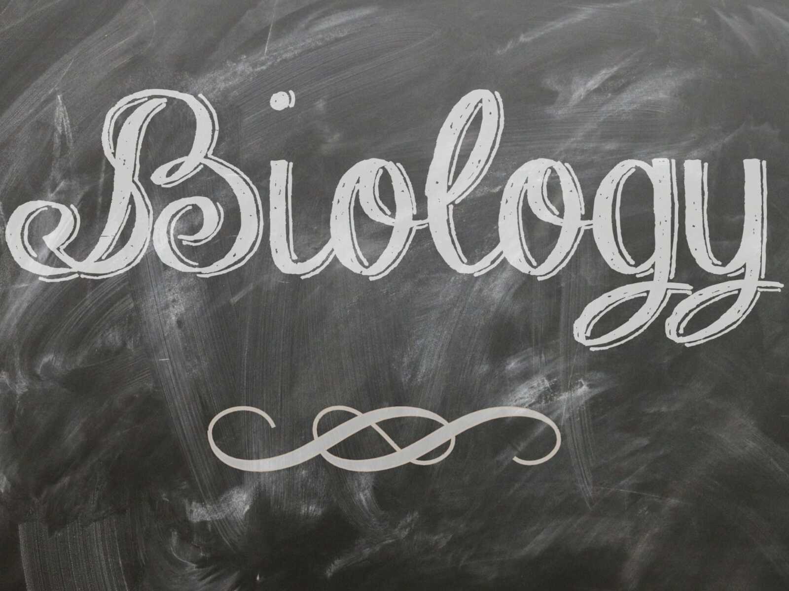 Biology Wallpapers (42 images) - WallpaperCat