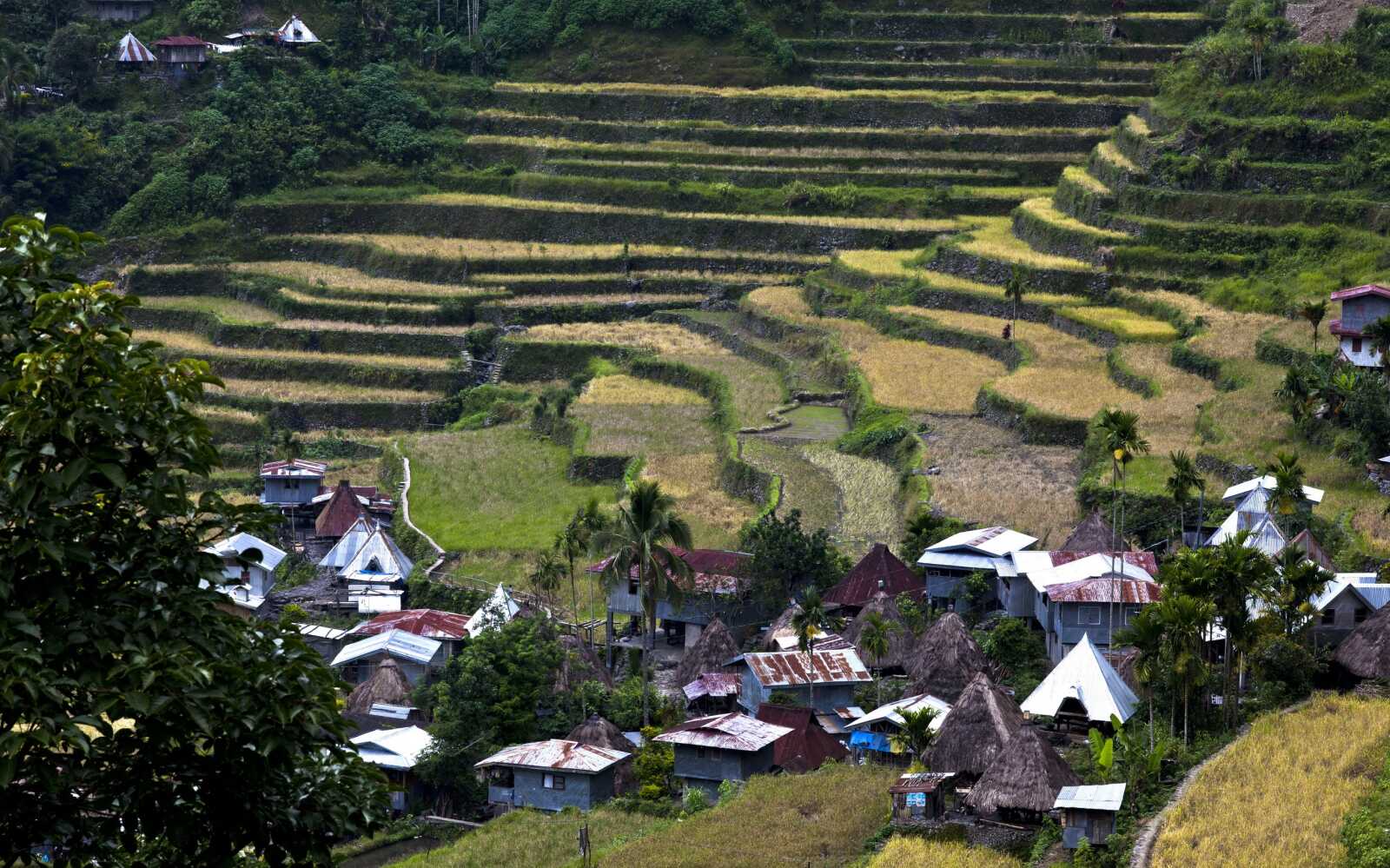 Banaue Rice Terraces Wallpapers (32 images) - WallpaperCat