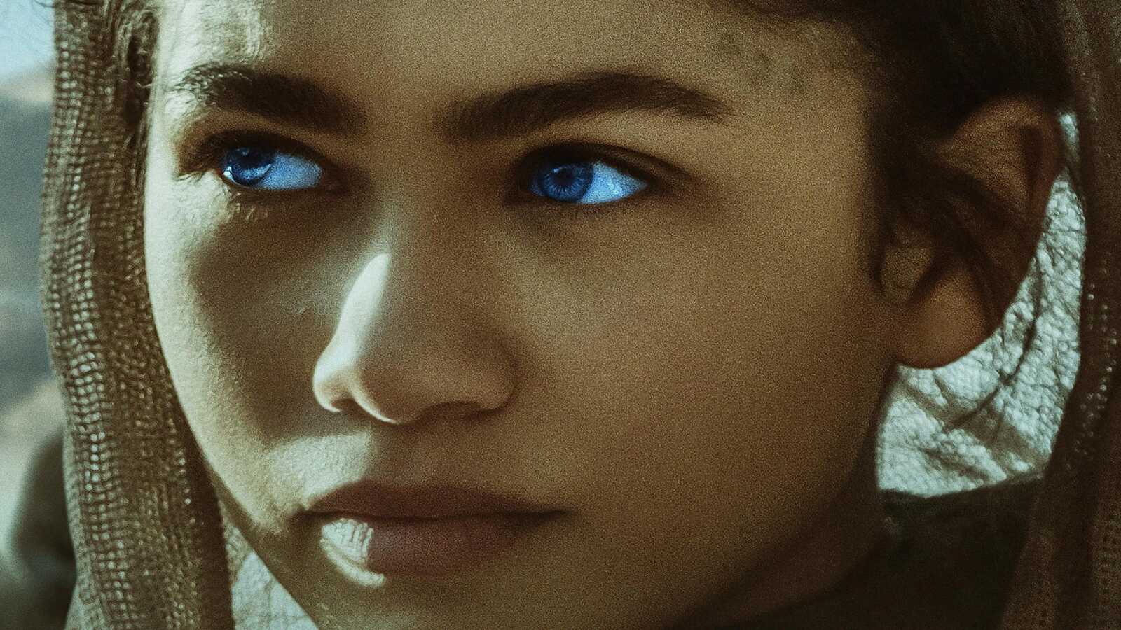 Chani (Dune) Wallpapers (27 images) - WallpaperCat