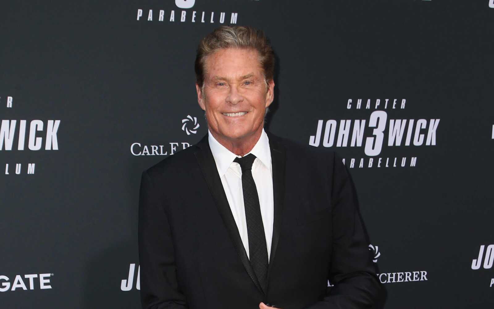 David Hasselhoff Wallpapers (37 images) - WallpaperCat