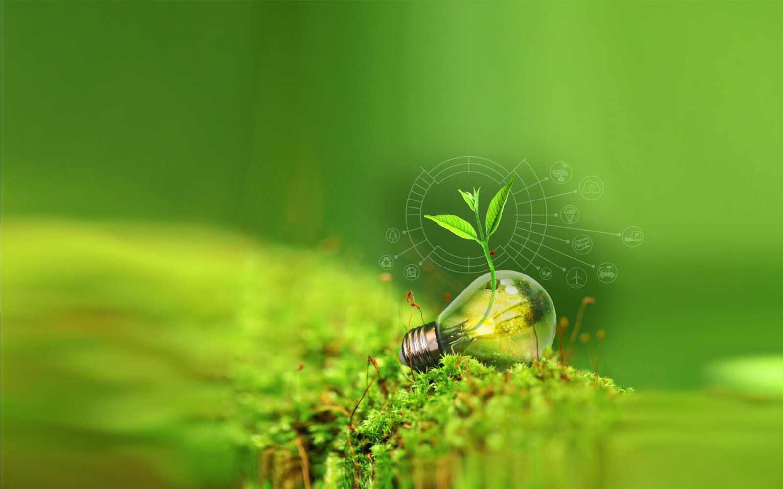 Go Green Wallpapers (48 images) - WallpaperCat