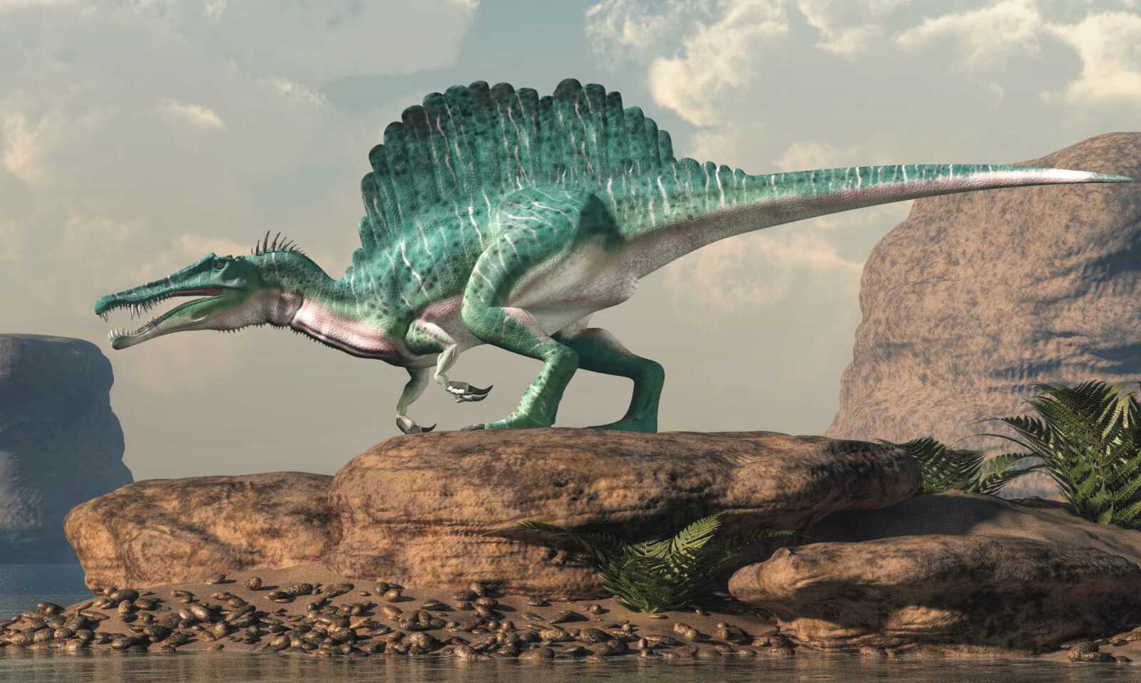 Spinosaurus Wallpapers (23 images) - WallpaperCat