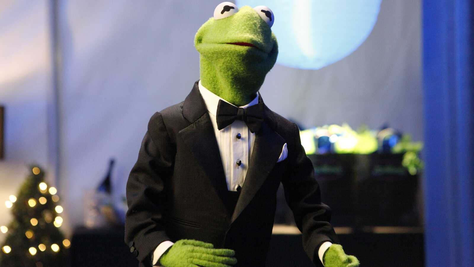 Kermit the Frog Wallpapers (25 images) - WallpaperCat