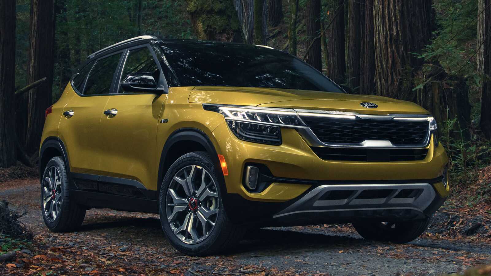 Kia Seltos Wallpapers (46 images) - WallpaperCat