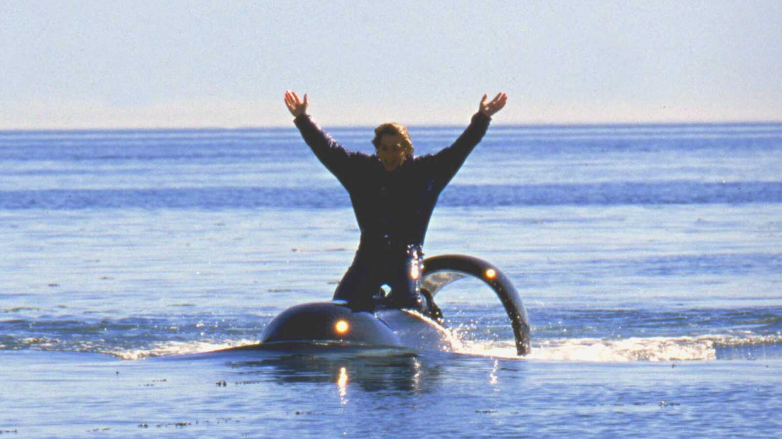 Free Willy Wallpapers (23 images) - WallpaperCat