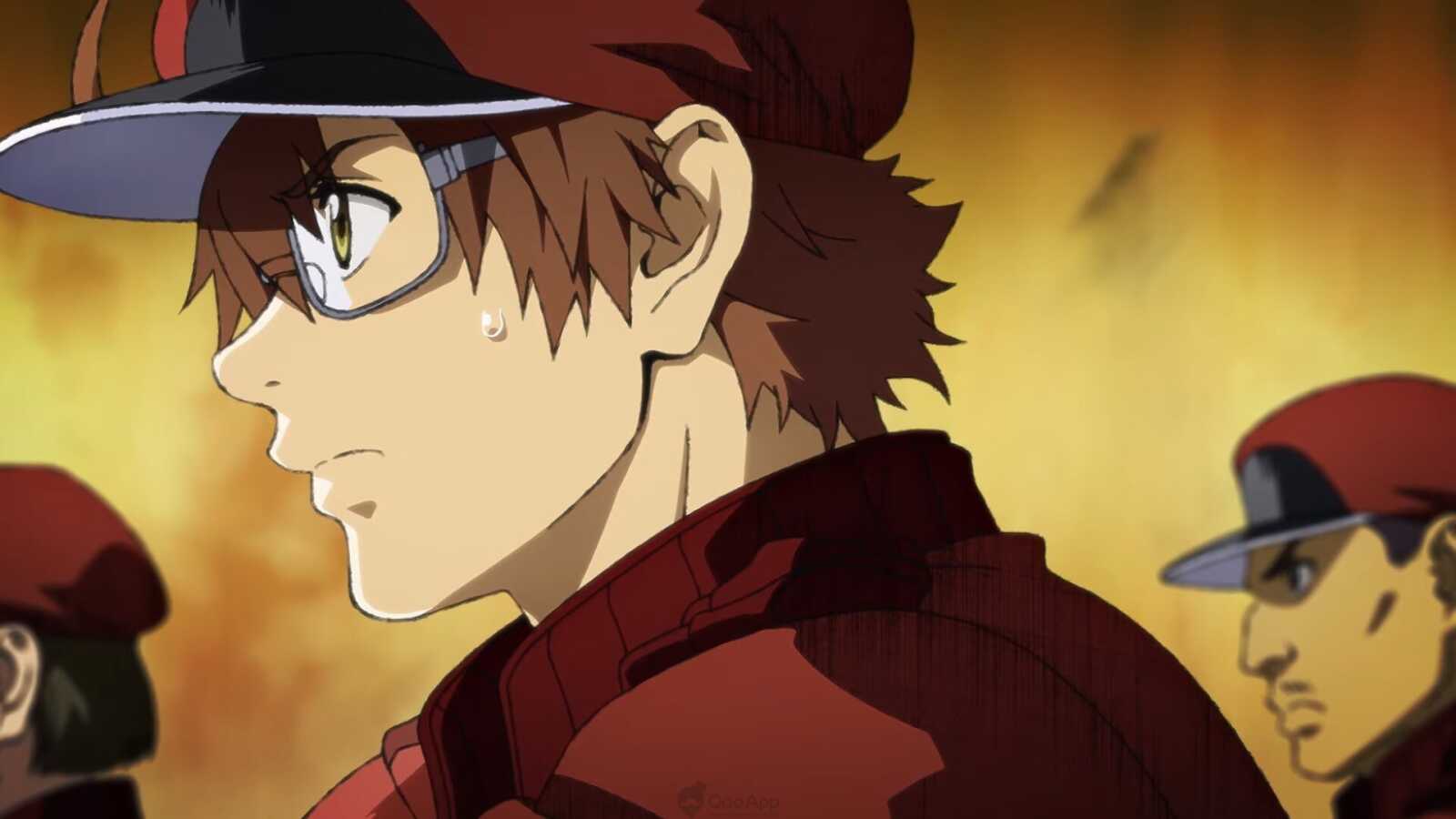 Cells at Work! Code Black Wallpapers (34 images) - WallpaperCat