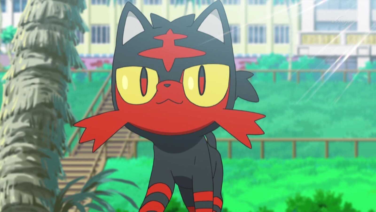 Litten Wallpapers (17 images) - WallpaperCat