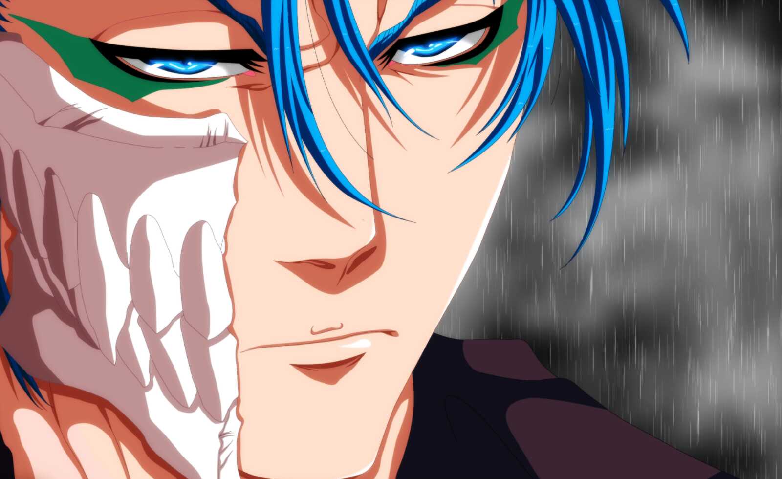 Grimmjow Jaggerjack Wallpapers (29 images) - WallpaperCat