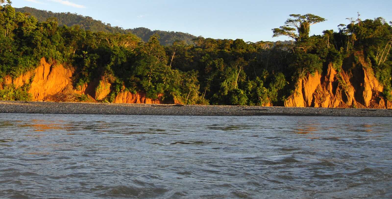 Manu National Park Wallpapers (23 images) - WallpaperCat