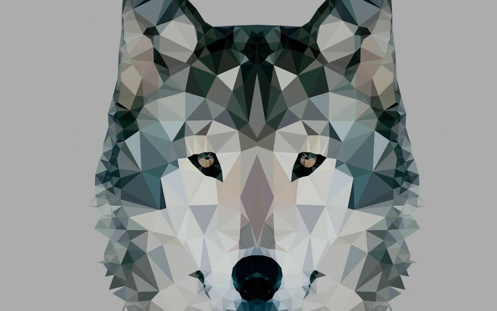 Wolf Wallpapers (122 images) - WallpaperCat