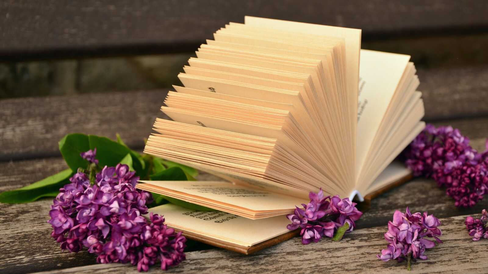 Book Wallpapers (113 images) - WallpaperCat