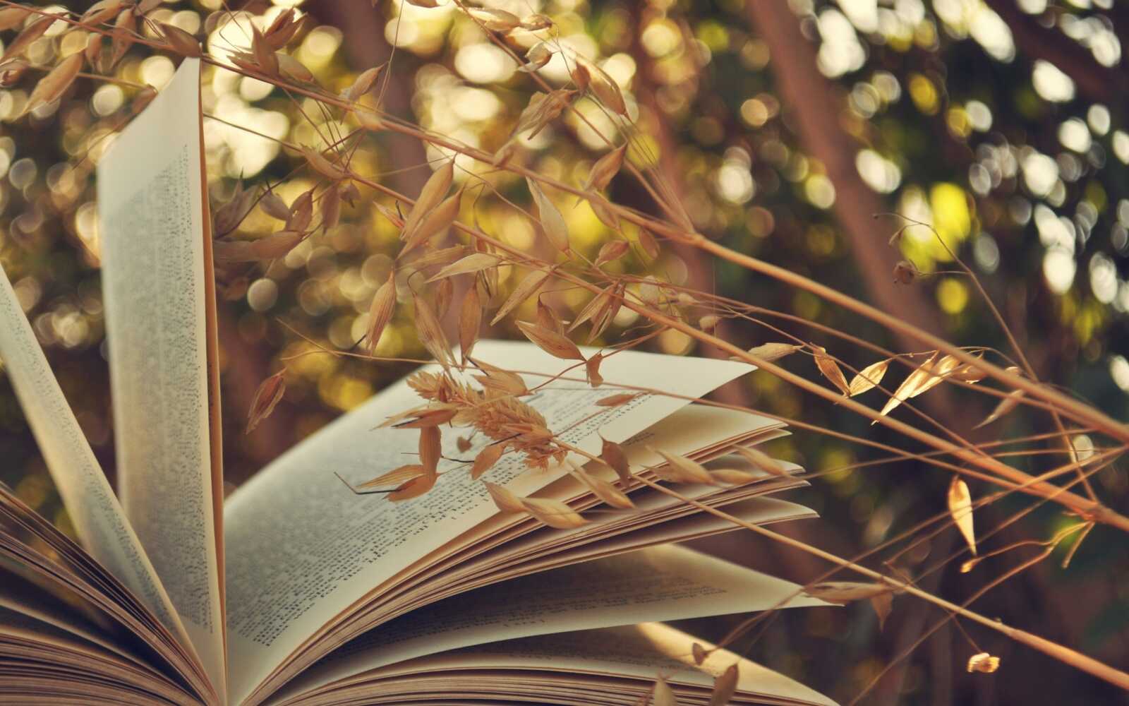 Book Wallpapers (113 images) - WallpaperCat