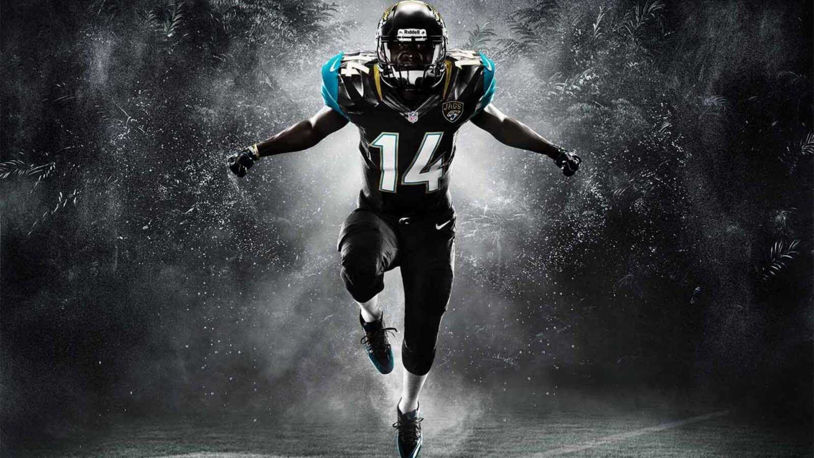 NFL Wallpapers (33 images) - WallpaperCat