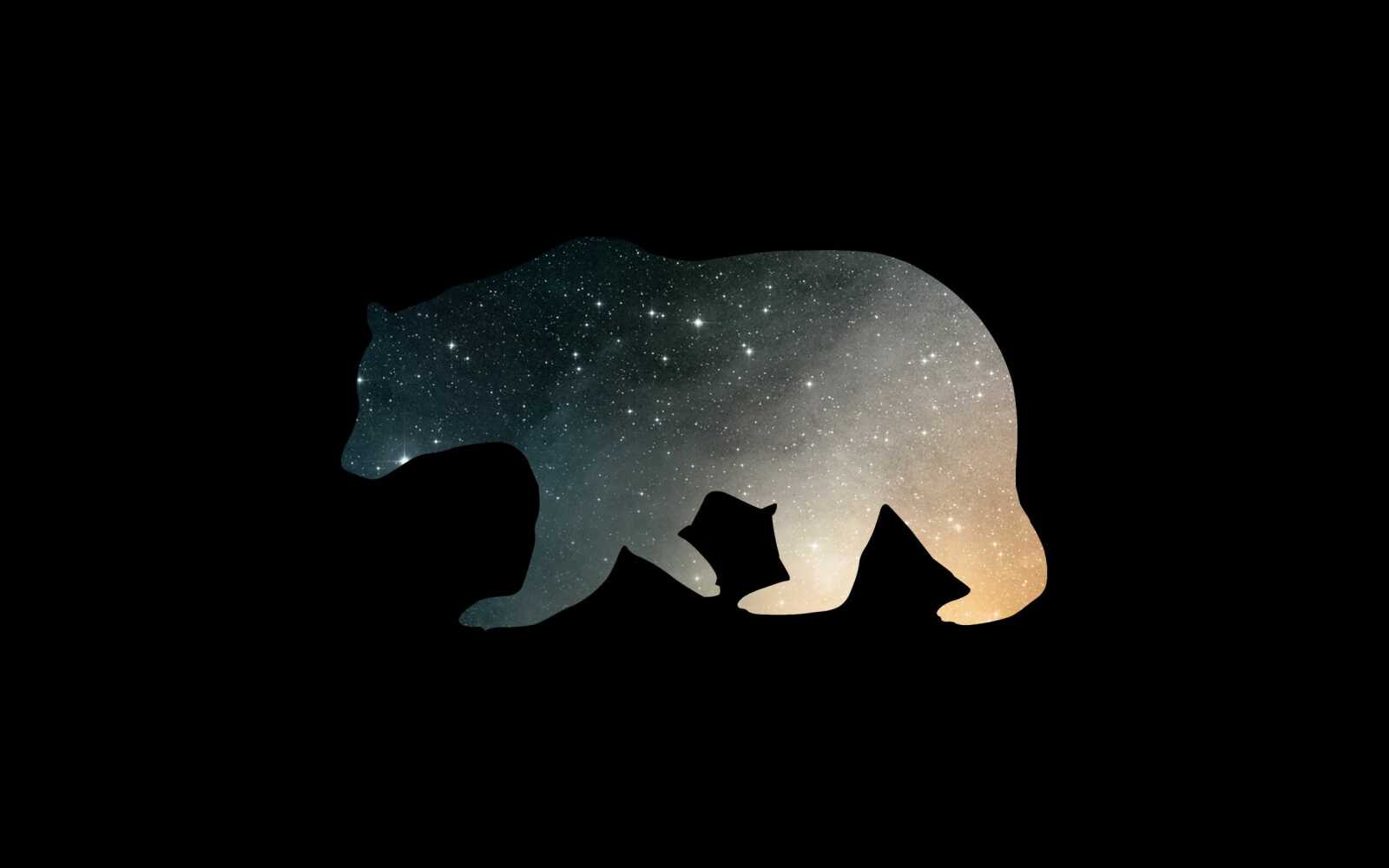 Bear Wallpapers (97 images) - WallpaperCat
