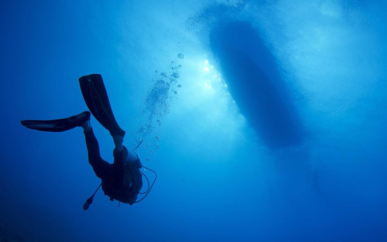 Diving Wallpapers (43 images) - WallpaperCat