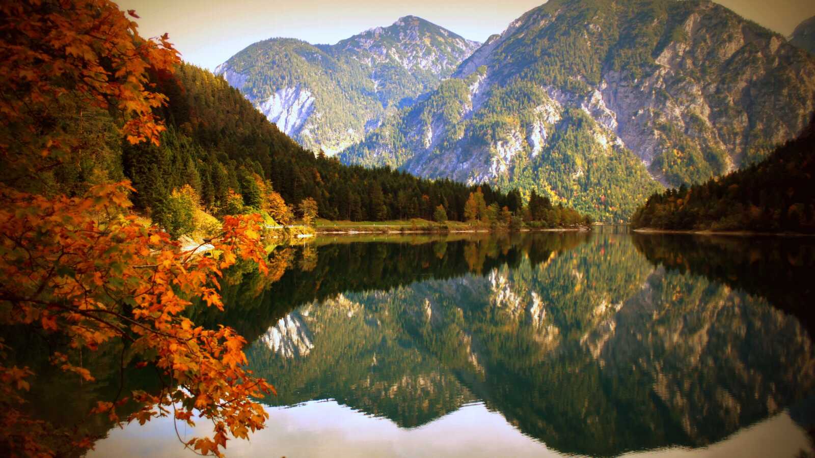 Fall Wallpapers (63 images) - WallpaperCat