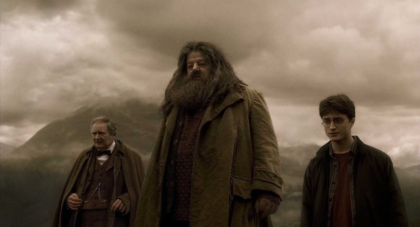 Hagrid Wallpapers (24 images) - WallpaperCat
