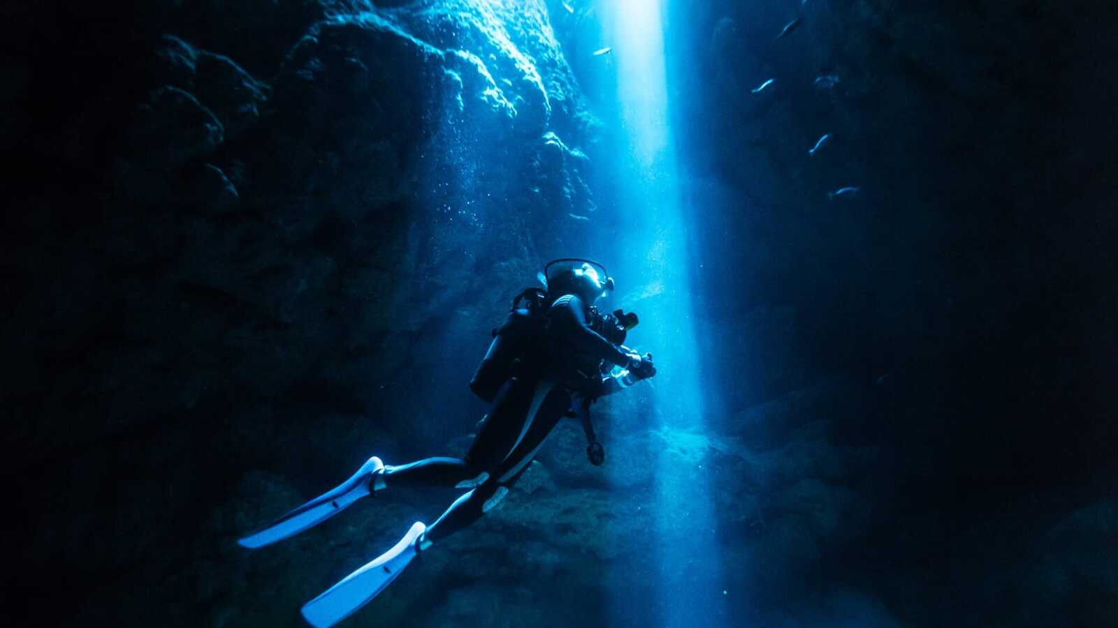 Scuba Diving Wallpapers (35 images) - WallpaperCat