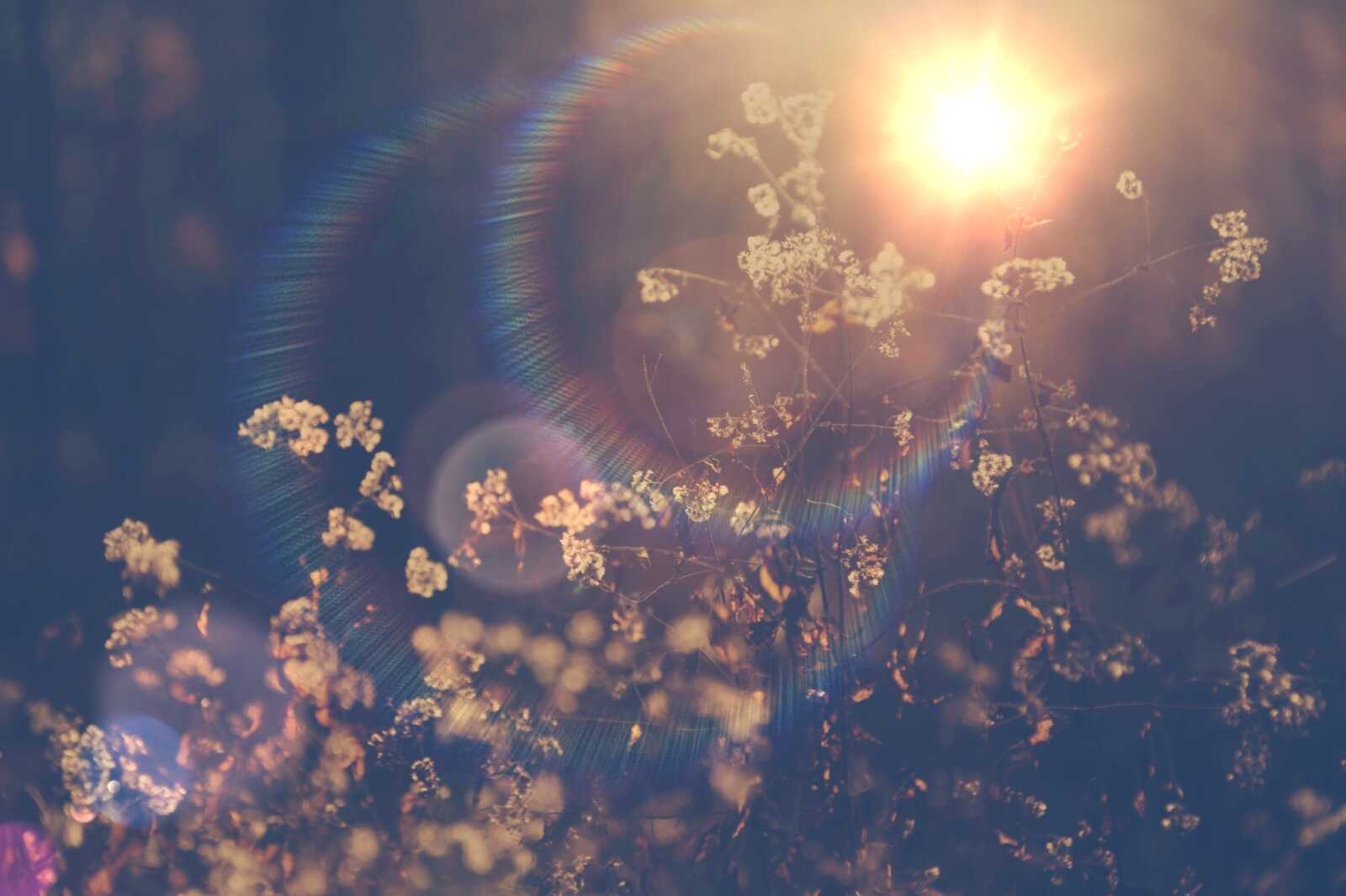 Lens Flare Wallpapers (52 images) - WallpaperCat