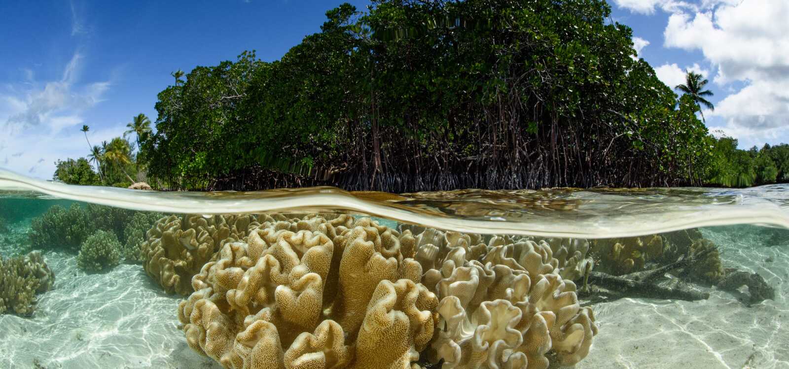 Solomon Islands Wallpapers (8 images) - WallpaperCat