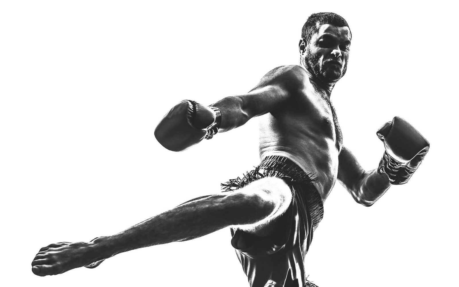 Kickboxing Wallpapers (23 images) - WallpaperCat