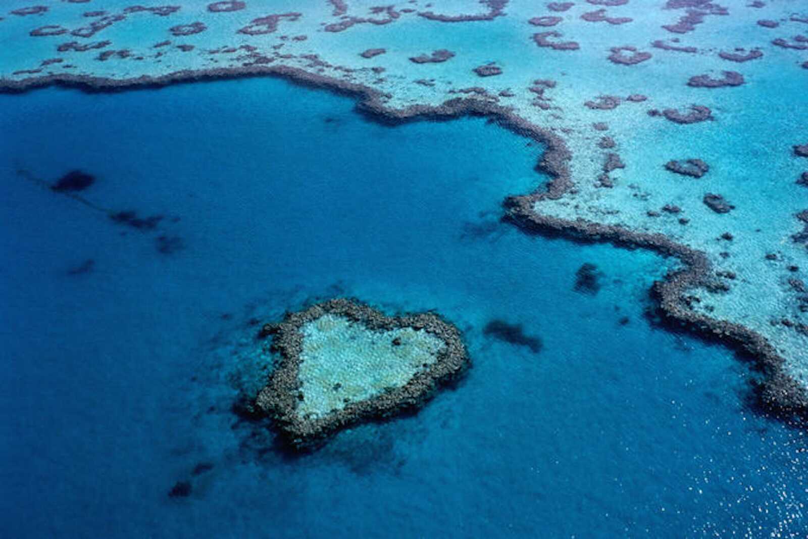 Great Barrier Reef Wallpapers (94 images) - WallpaperCat