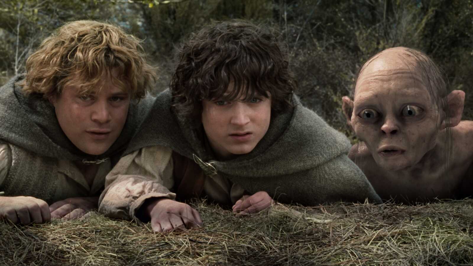 Frodo Wallpapers (18 images) - WallpaperCat