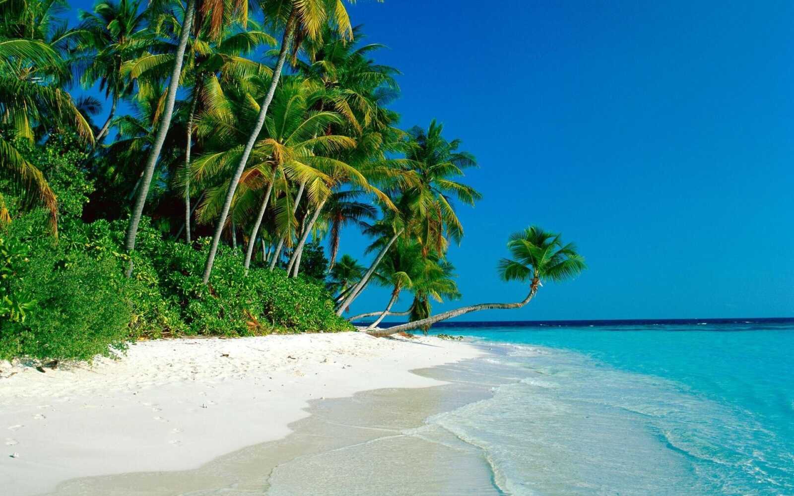 Beach Wallpapers (35 images) - WallpaperCat