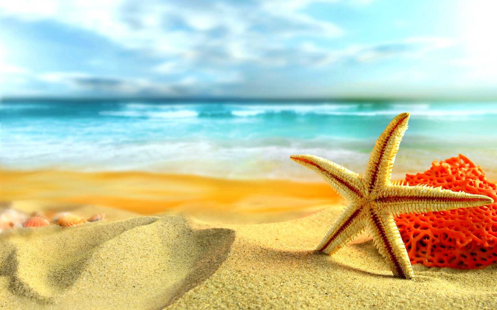 Summer Wallpapers (99 images) - WallpaperCat