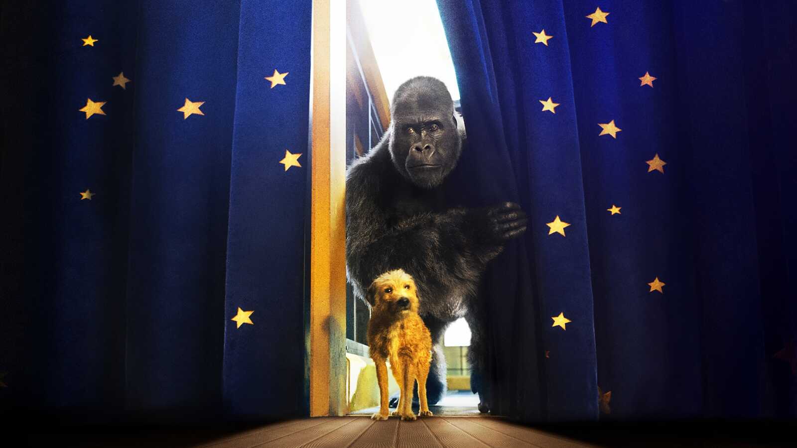 The One and Only Ivan (Movie) Wallpapers (17 images) - WallpaperCat