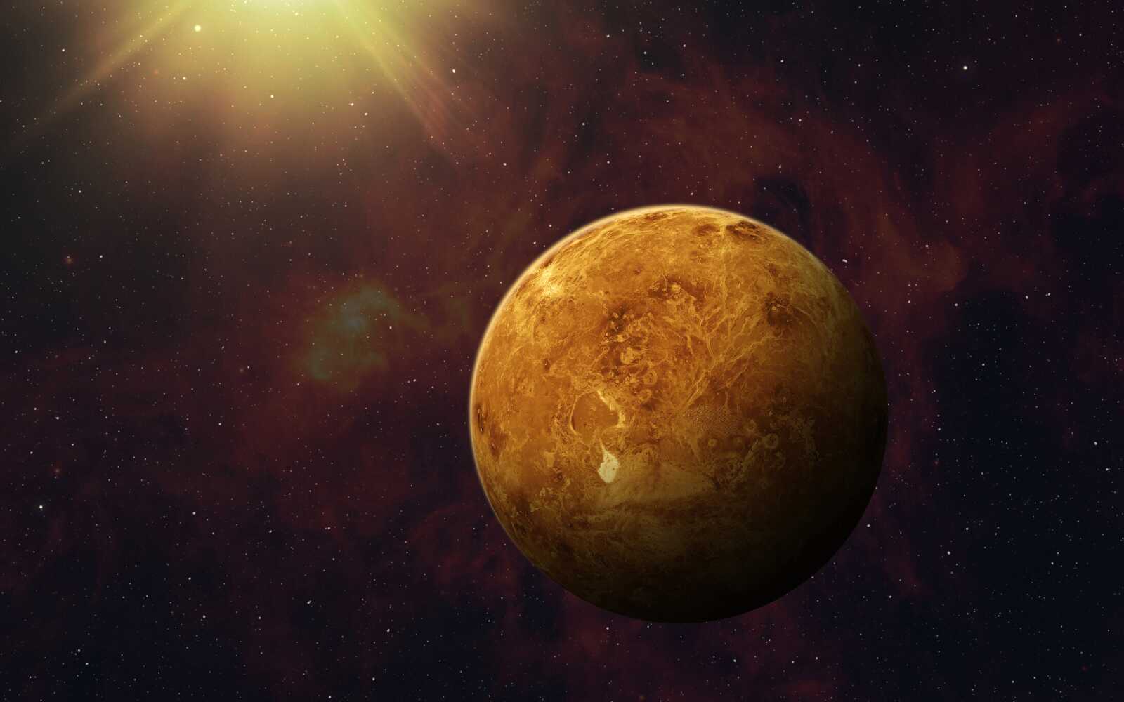 Venus Wallpapers (16 images) - WallpaperCat