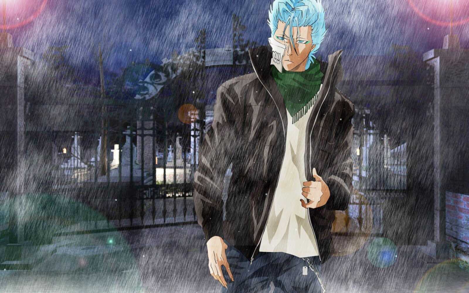 Grimmjow Jaggerjack Wallpapers (29 images) - WallpaperCat