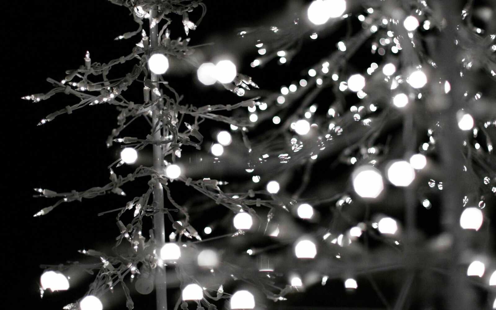 Fairy Lights Wallpapers (64 images) - WallpaperCat