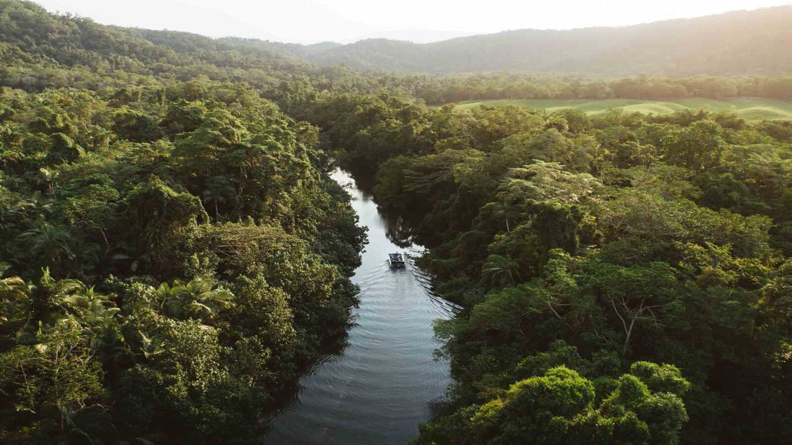 The Daintree River Wallpapers (19 images) - WallpaperCat