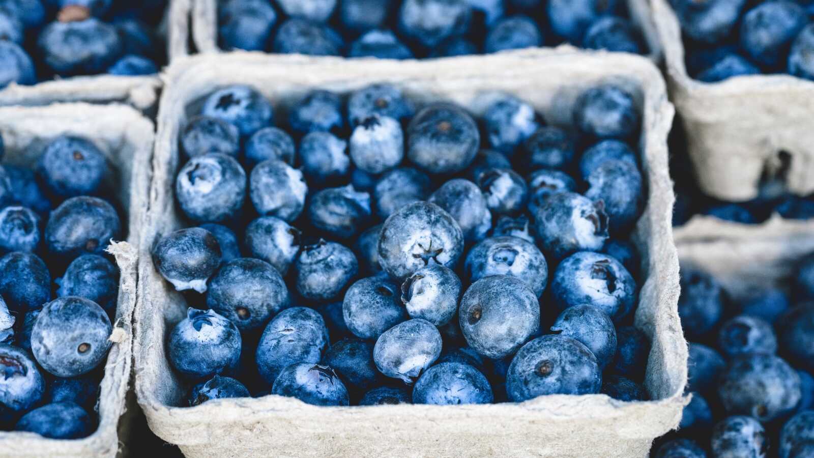 Blueberry Wallpapers (59 images) - WallpaperCat