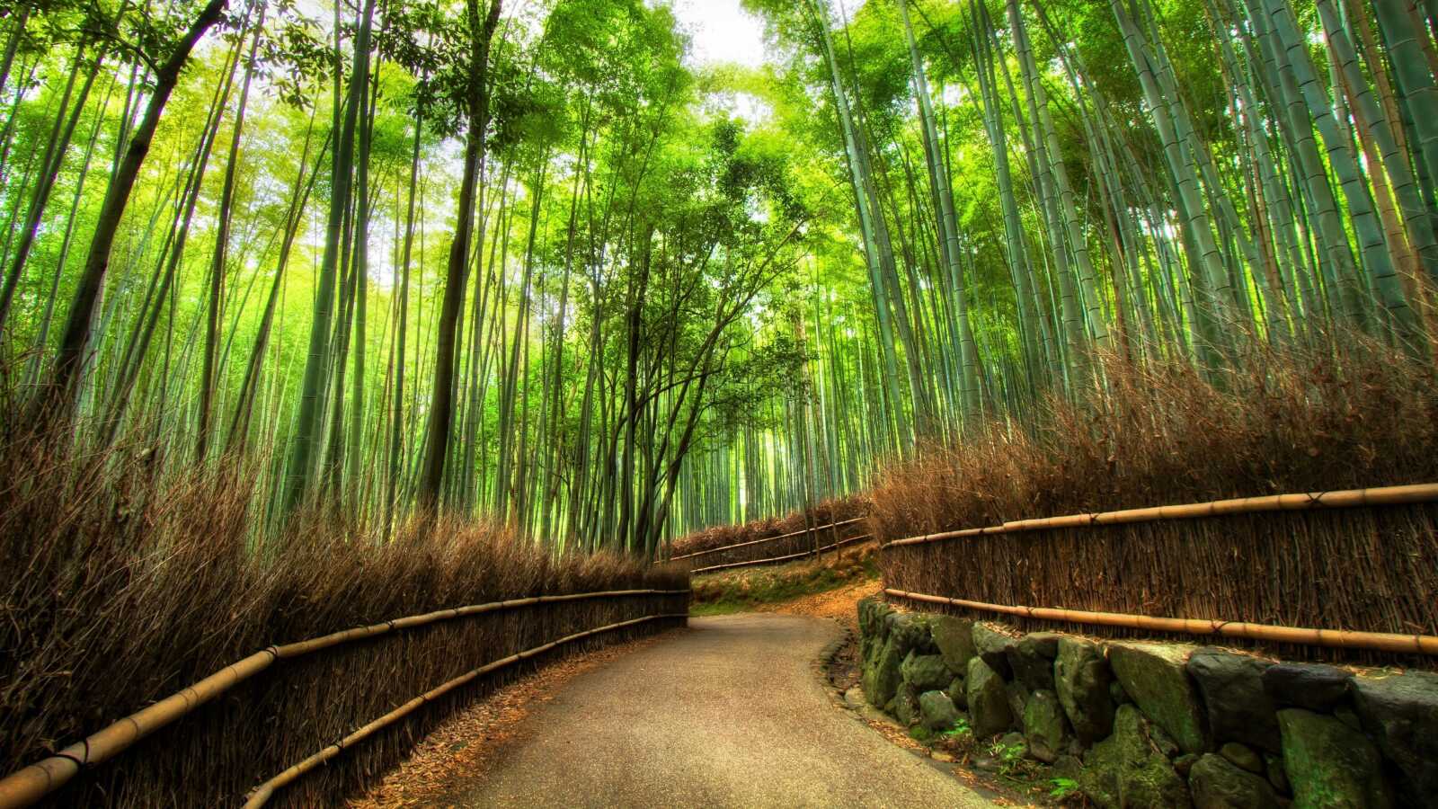 Kyoto Wallpapers (49 images) - WallpaperCat